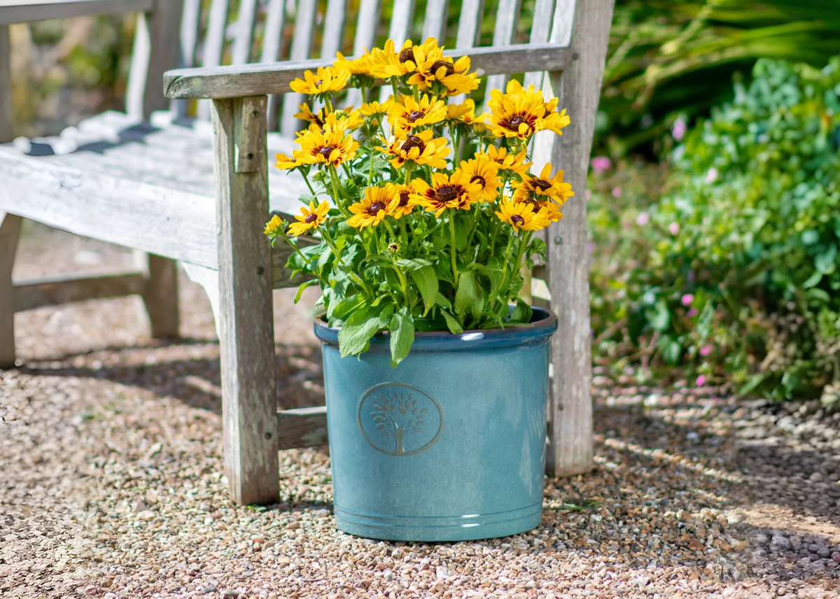 Cotswold Cylinder Planters – Creekwood Garden & Gift