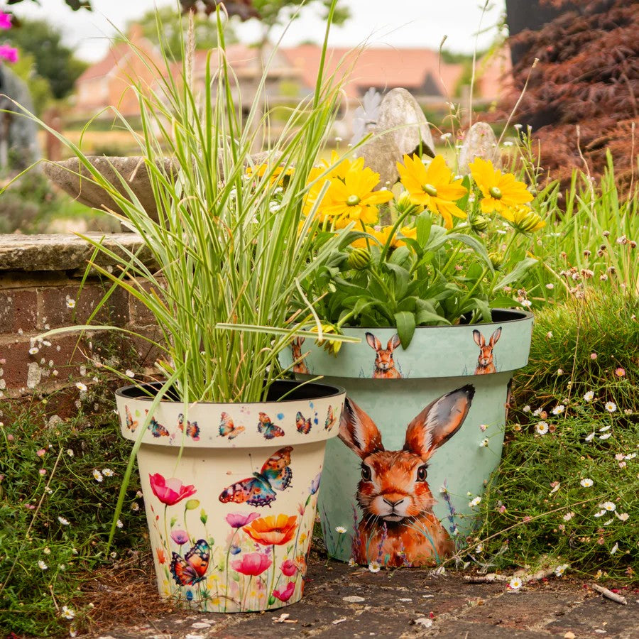 Zest Pot - Butterflies (available in 5 sizes) – Creekwood Garden & Gift
