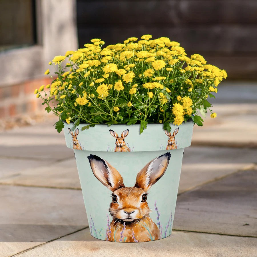 Zest Pot - Hare (available in 5 sizes) – Creekwood Garden & Gift