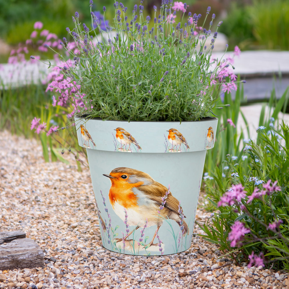 Zest Pot - Robin (available in 5 sizes) – Creekwood Garden & Gift